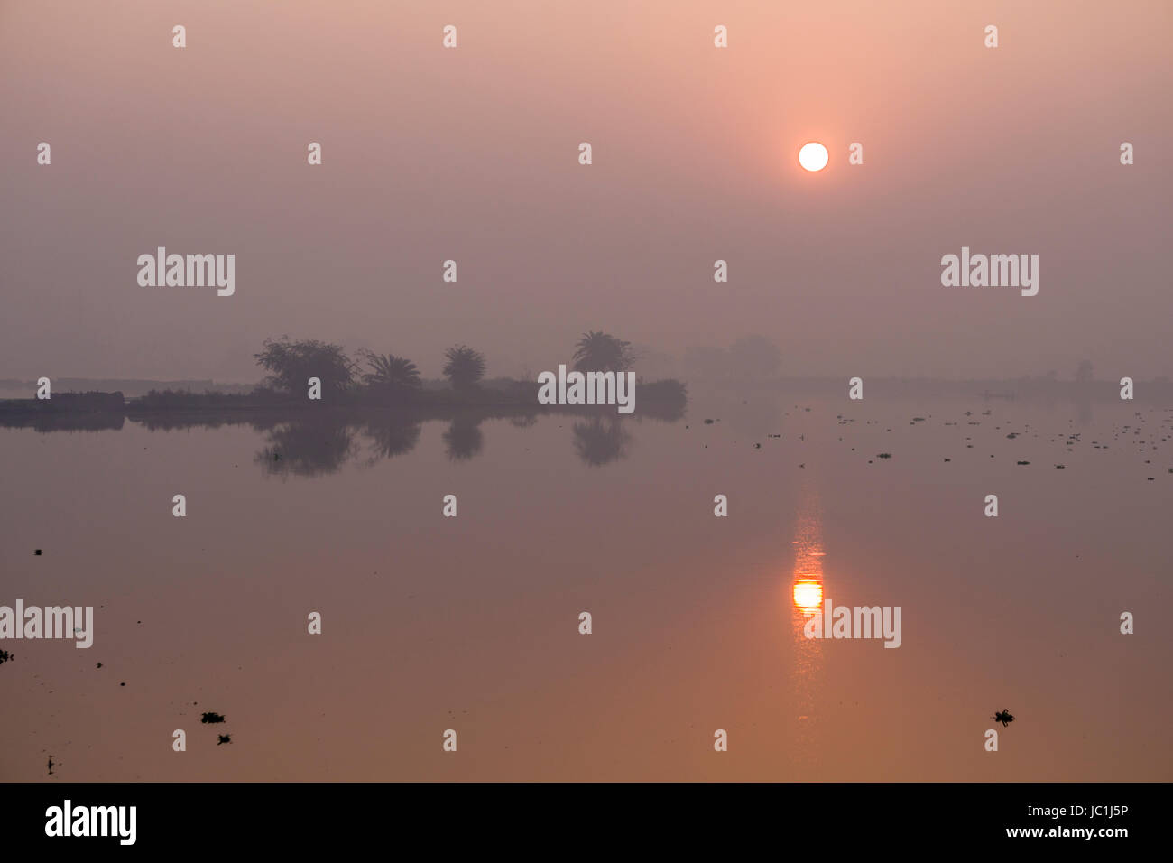 Sunrise over the foggy fish breeding lakes in the rural surroundings of ...