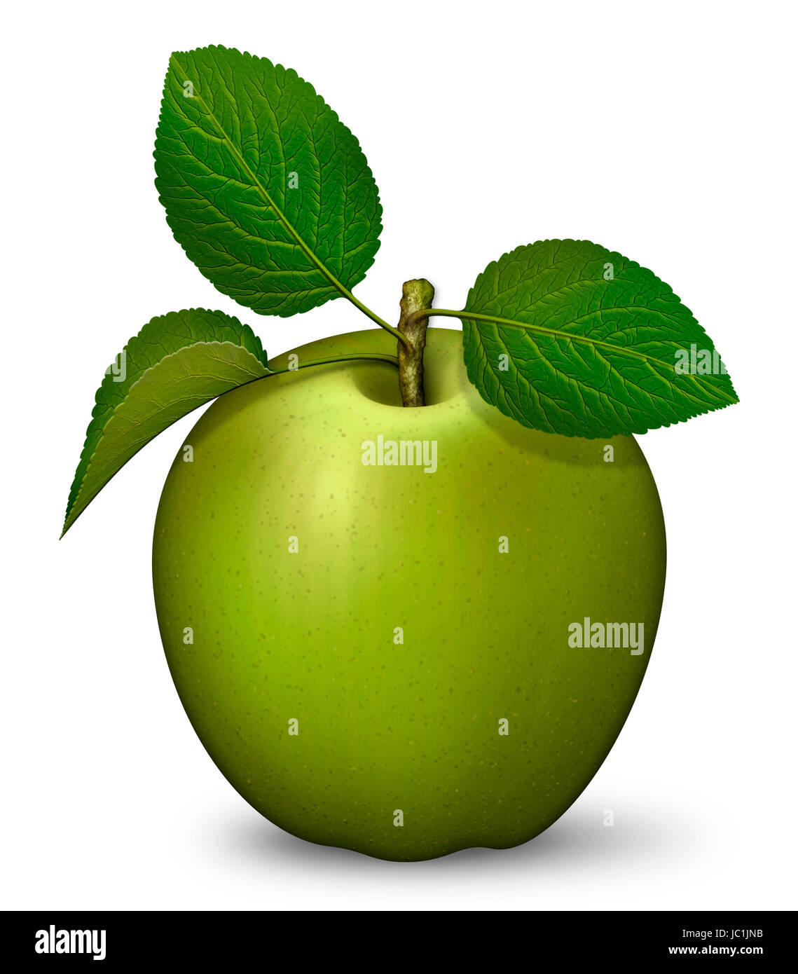Digital illustration of a green apple with stem and leaves Stock Photo ...