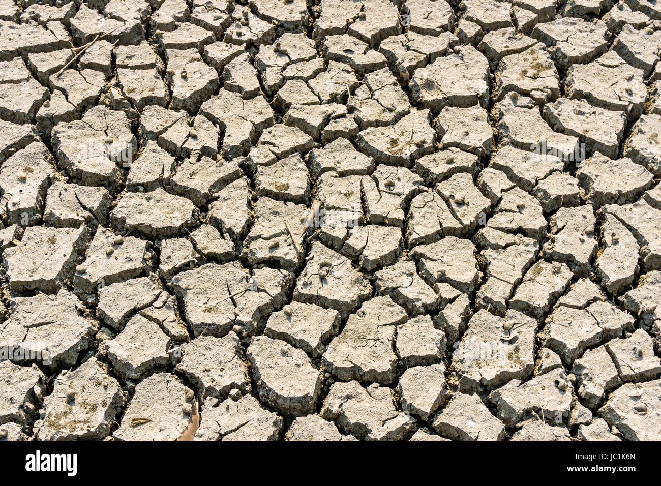 Dryed-out soil on a field in the rural surroundings of the suburb New ...