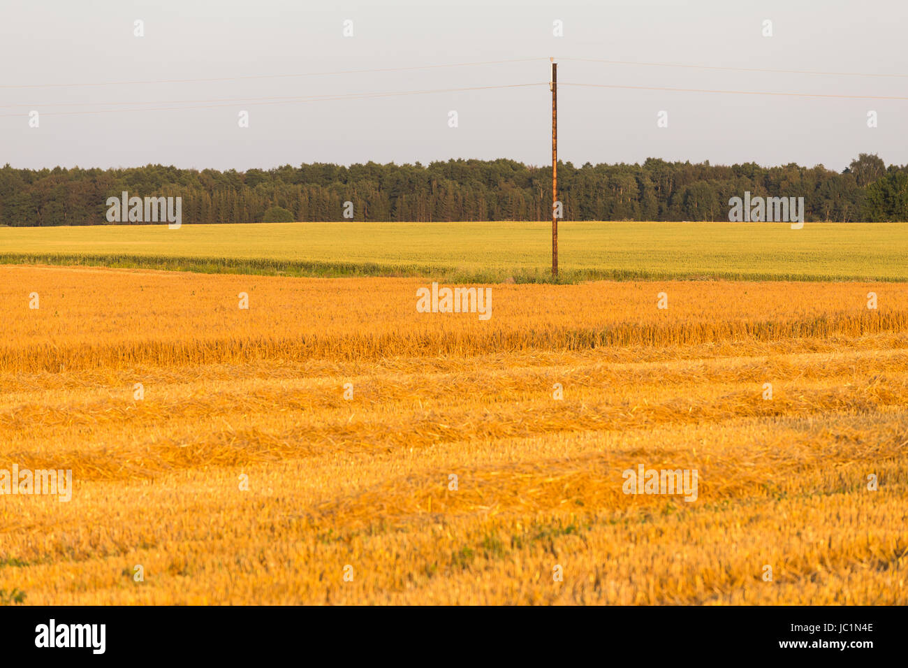 Summer landscape with farm fields during sunset Stock Photo - Alamy
