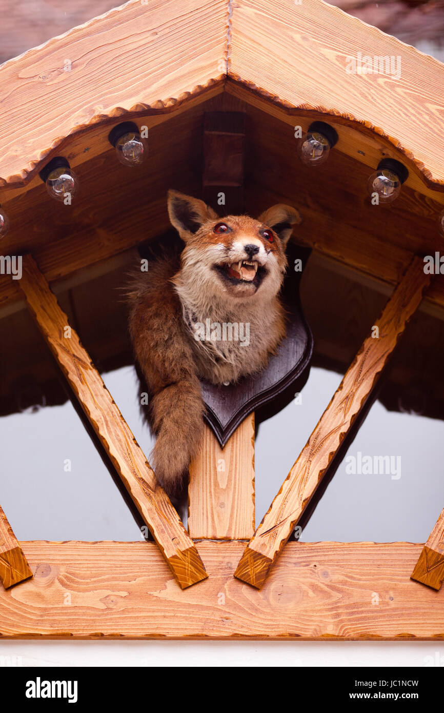 a stuffed fox at the entrance of a wooden hut Stock Photo - Alamy