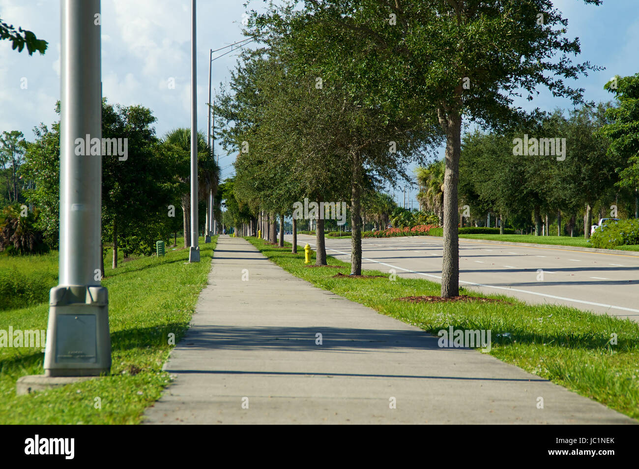 Looking down the sidewalk on Livingston Rd in Naples FLorida, showing ...
