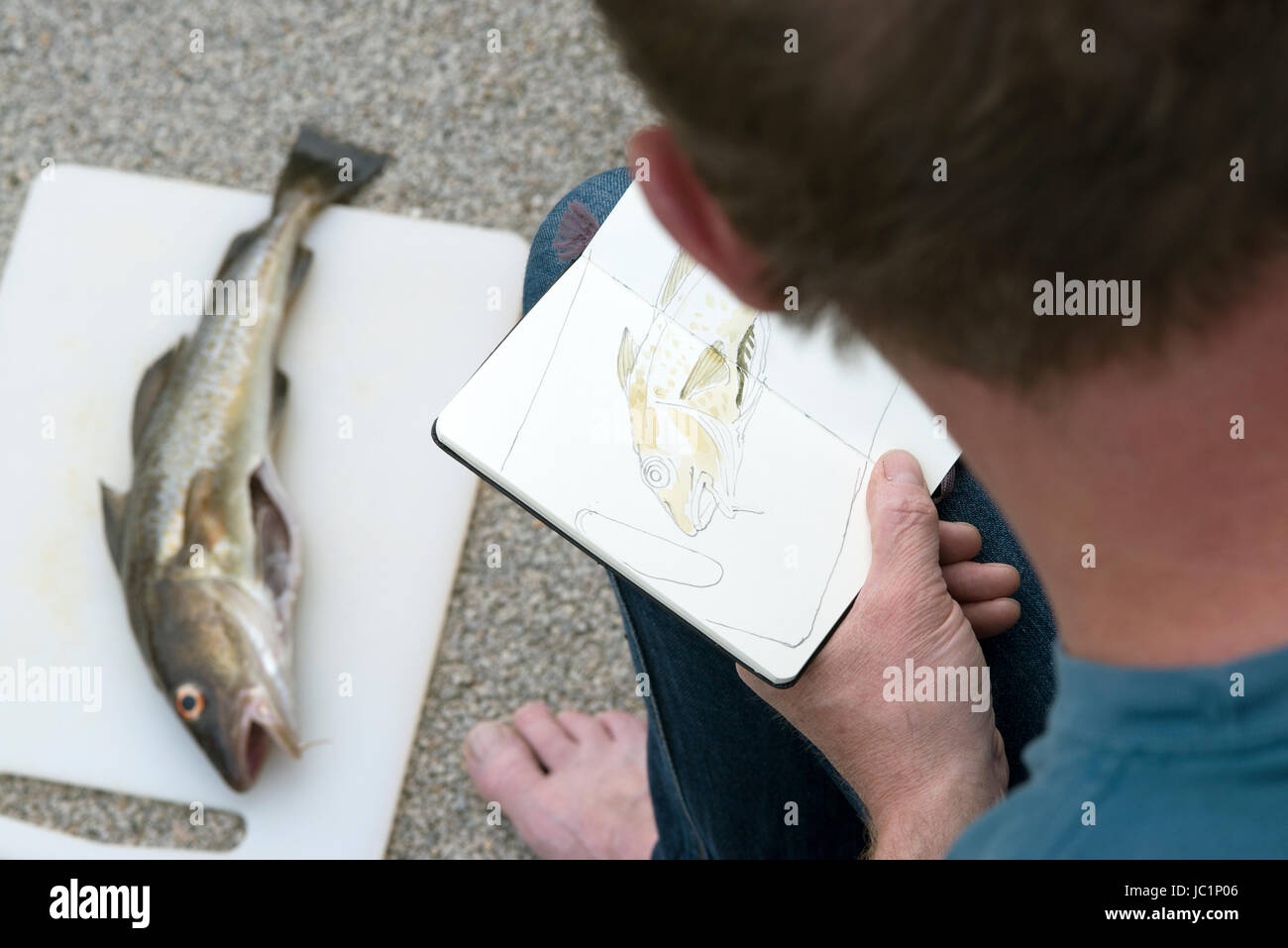 Man drawing a fish Stock Photo - Alamy