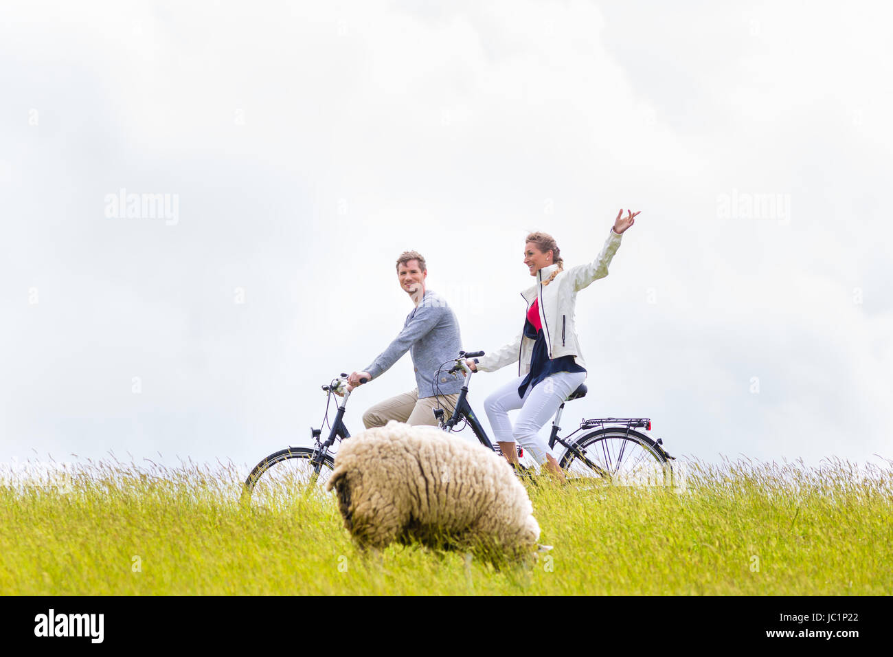 Couple having bicycle tour with bike at levee with sheep Stock Photo ...