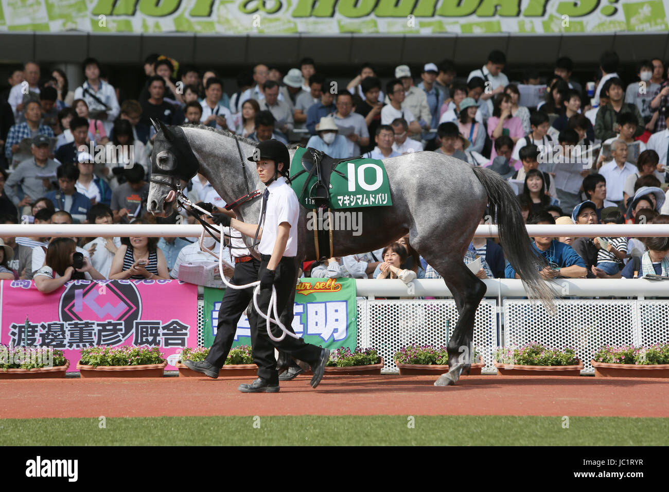 Hyogo, Japan. 11th June, 2017. Maximum de Paris Horse Racing : Maximum ...