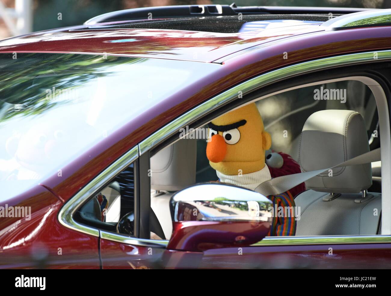 New York, NY, USA. 13th June, 2017. Bert of Sesame Street on location ...