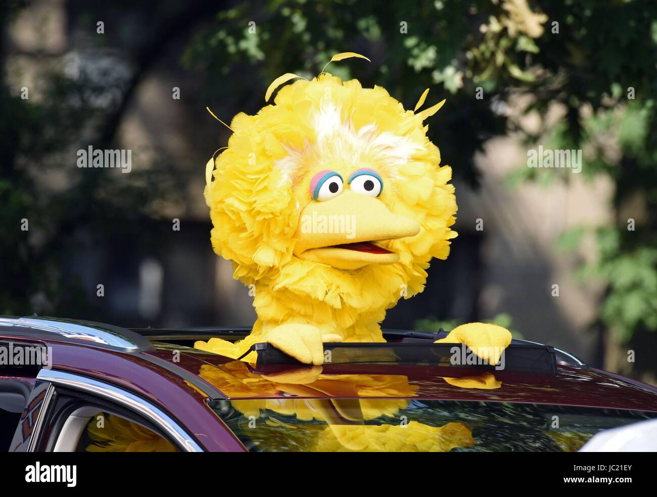 New York, NY, USA. 13th June, 2017. Big Bird of Sesame Street on ...