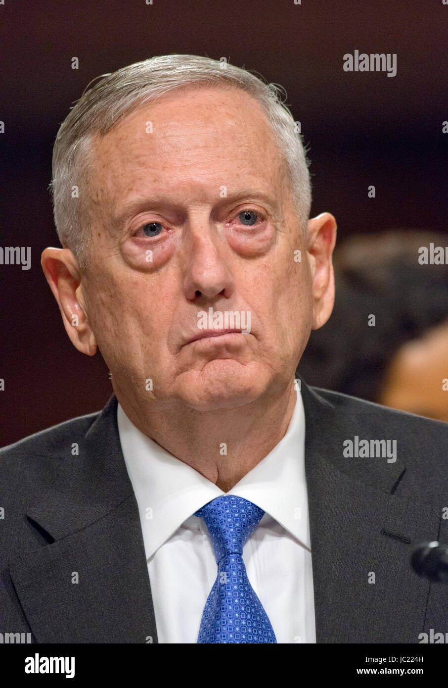United States Secretary of Defense James N. Mattis gives testimony ...