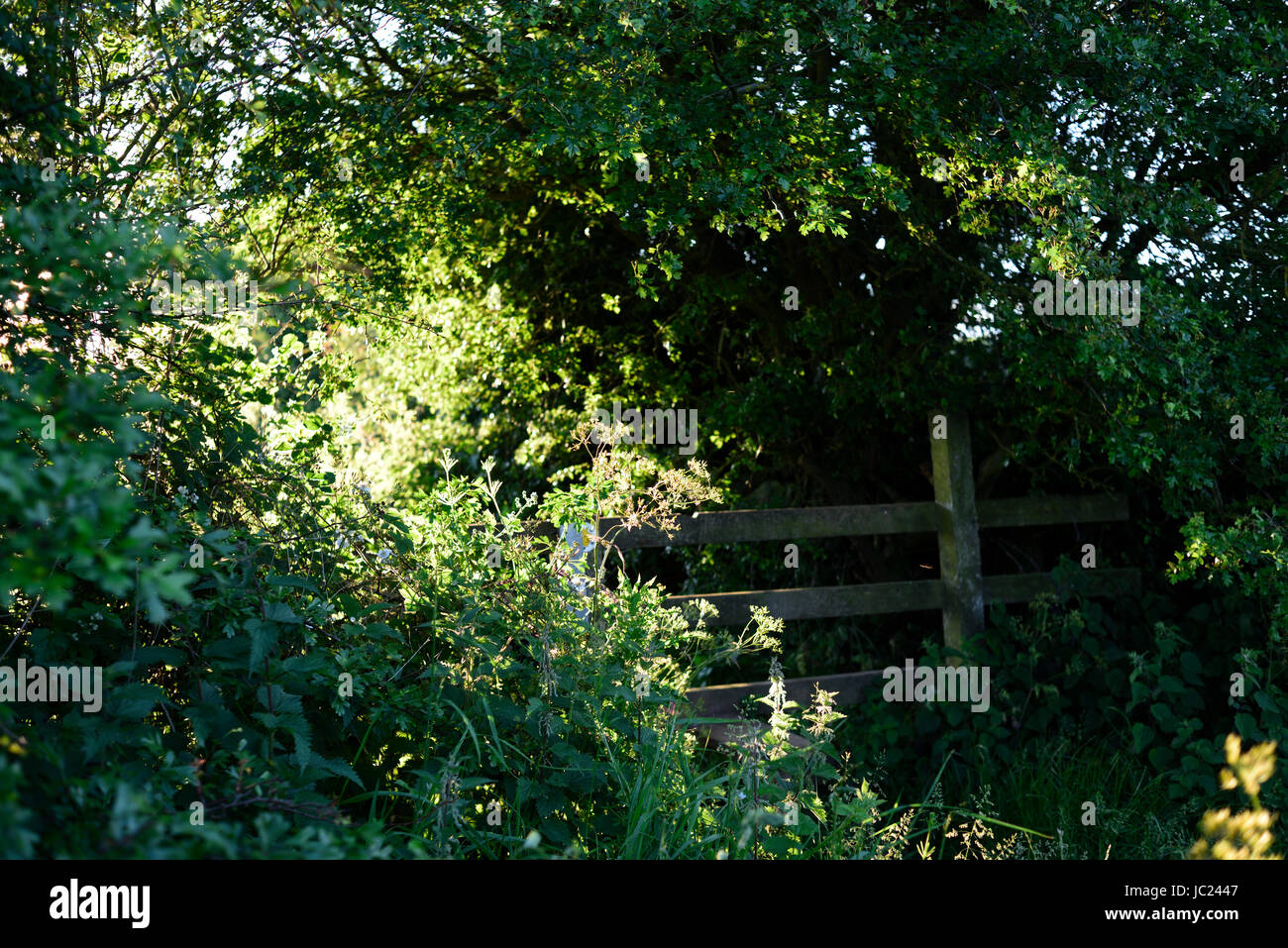 Misk hills hucknall nottinghamshire uk hi-res stock photography and ...