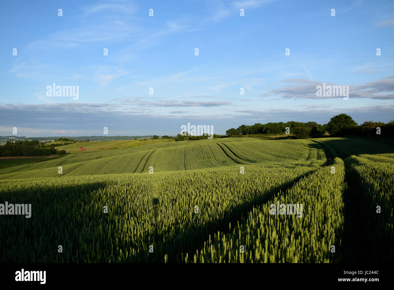 Nottinghamshire countryside hi-res stock photography and images - Alamy