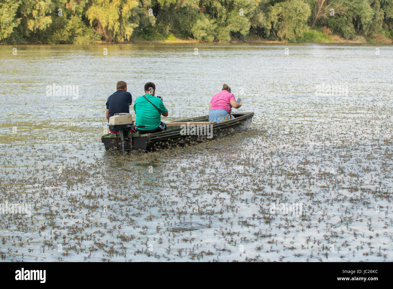 Magyarkanizsa hi-res stock photography and images - Alamy