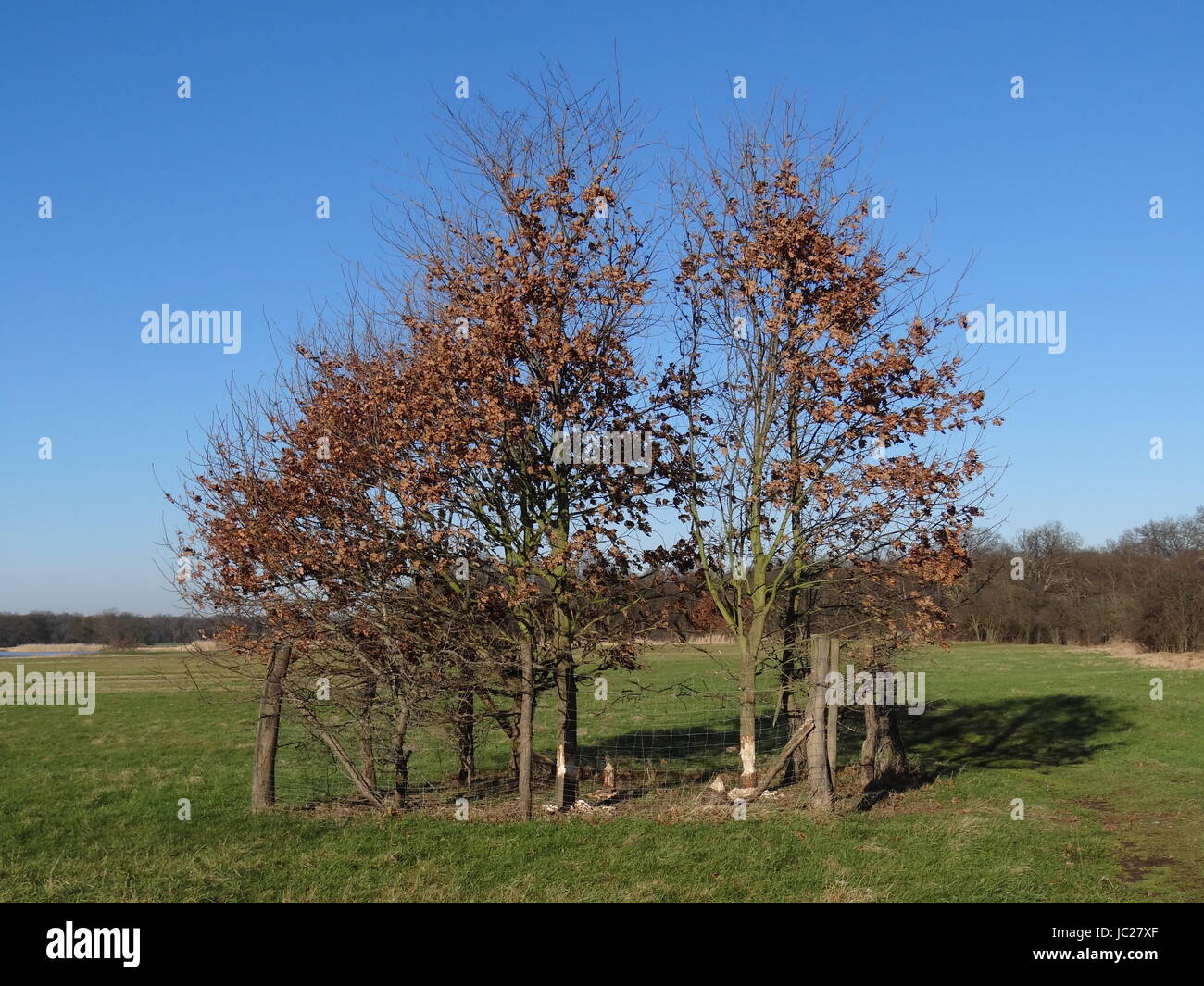 Fodder conservation hi-res stock photography and images - Alamy
