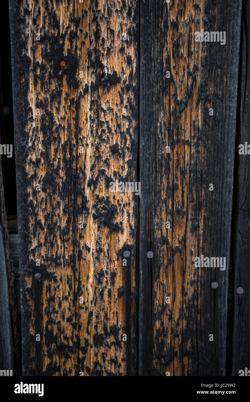 Closeup texture of dark wood burnt on edges Stock Photo - Alamy
