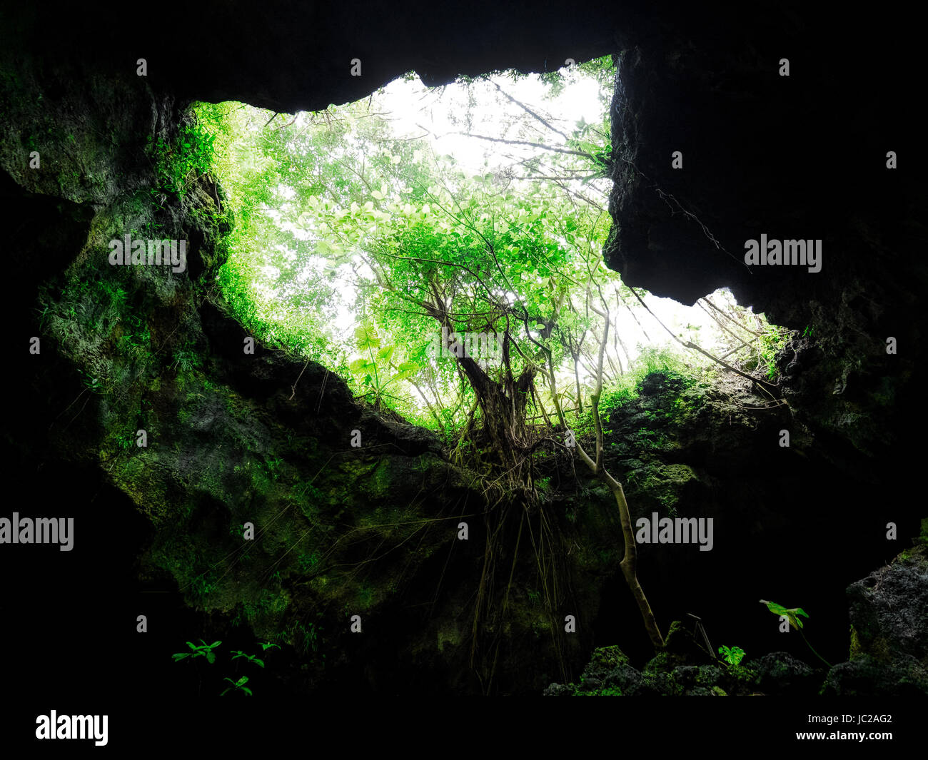 Yaeyama islands hi-res stock photography and images - Alamy