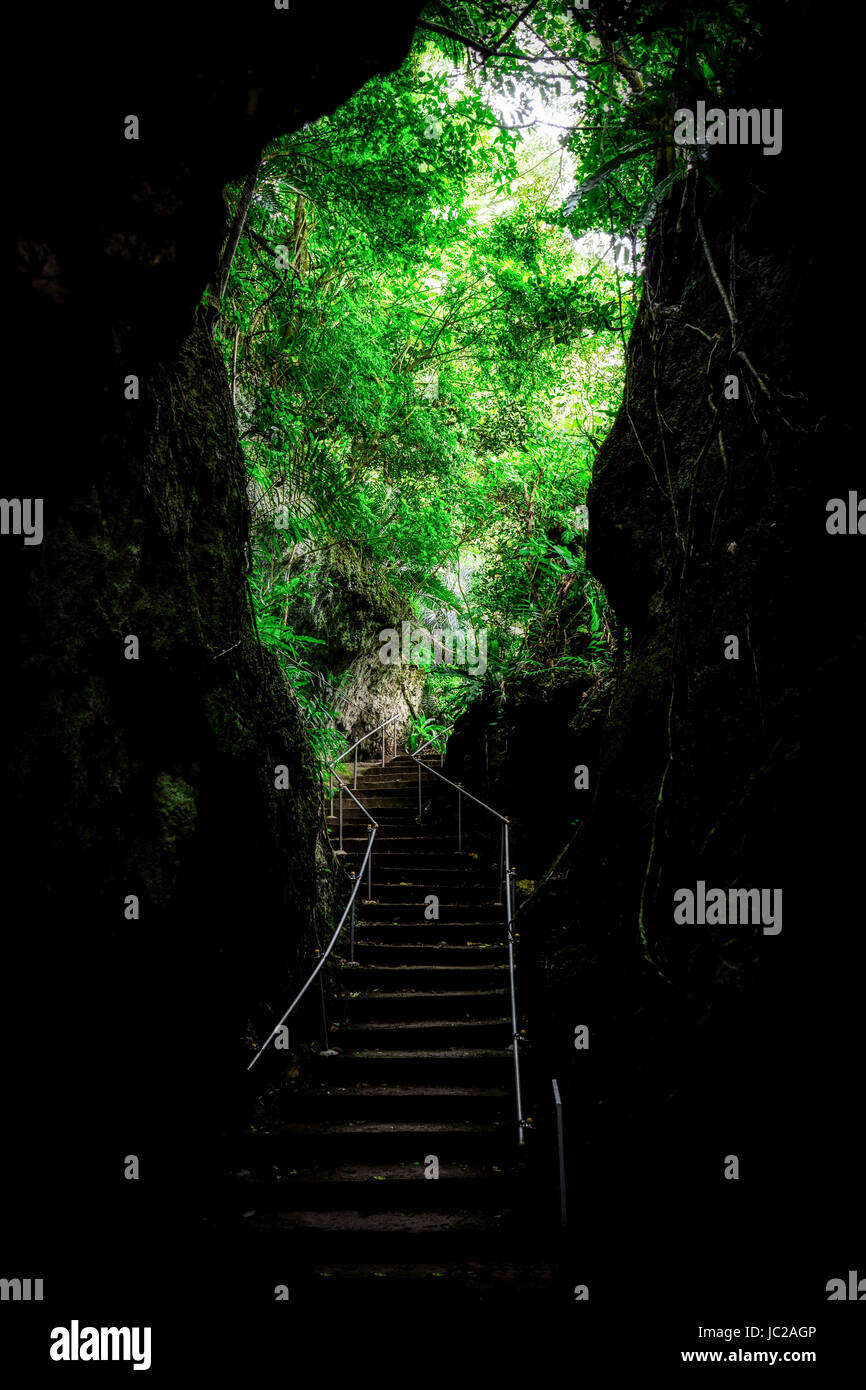 Yaeyama islands hi-res stock photography and images - Alamy