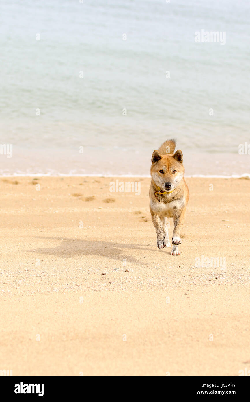 Spring beach hi-res stock photography and images - Alamy