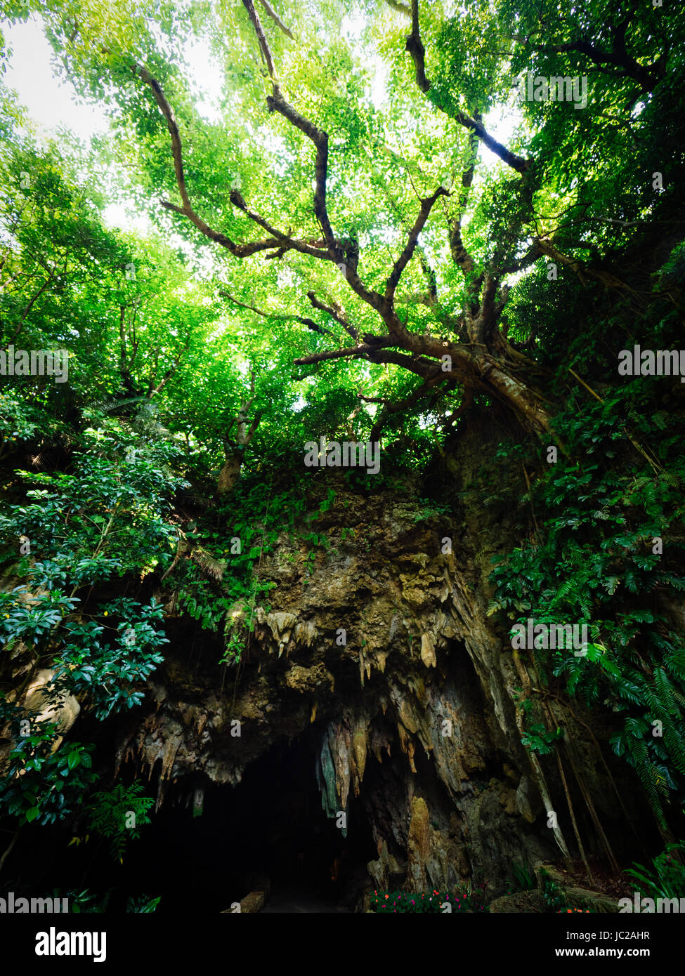Yaeyama Islands, Okinawa Prefecture, Japan Stock Photo - Alamy