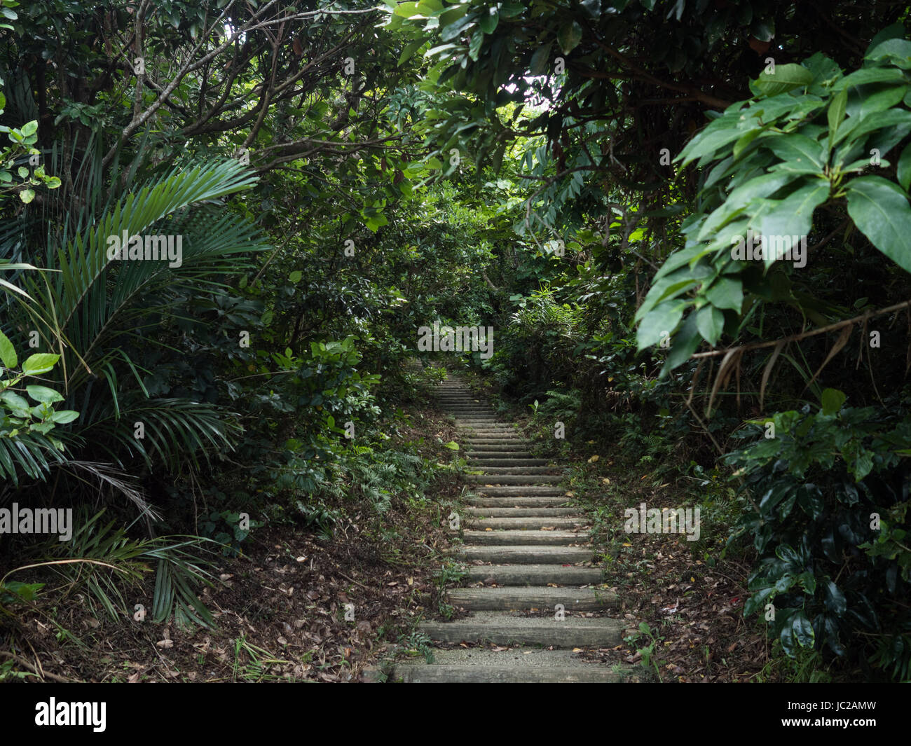 Kohamajima island hi-res stock photography and images - Alamy