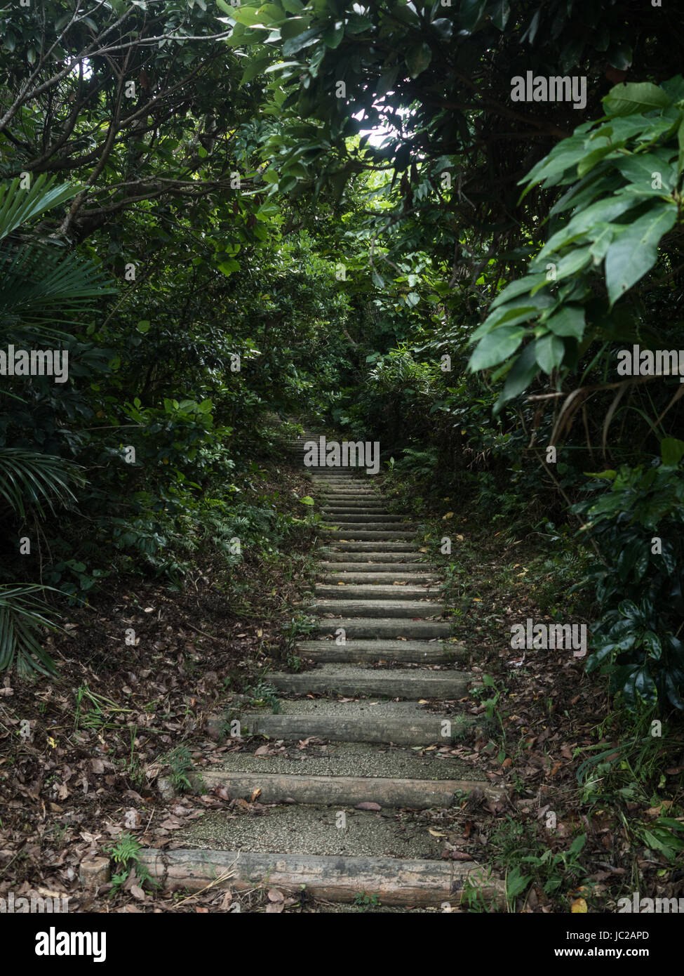 Ufudaki, Kohama Island, Okinawa Prefecture, Japan Stock Photo - Alamy