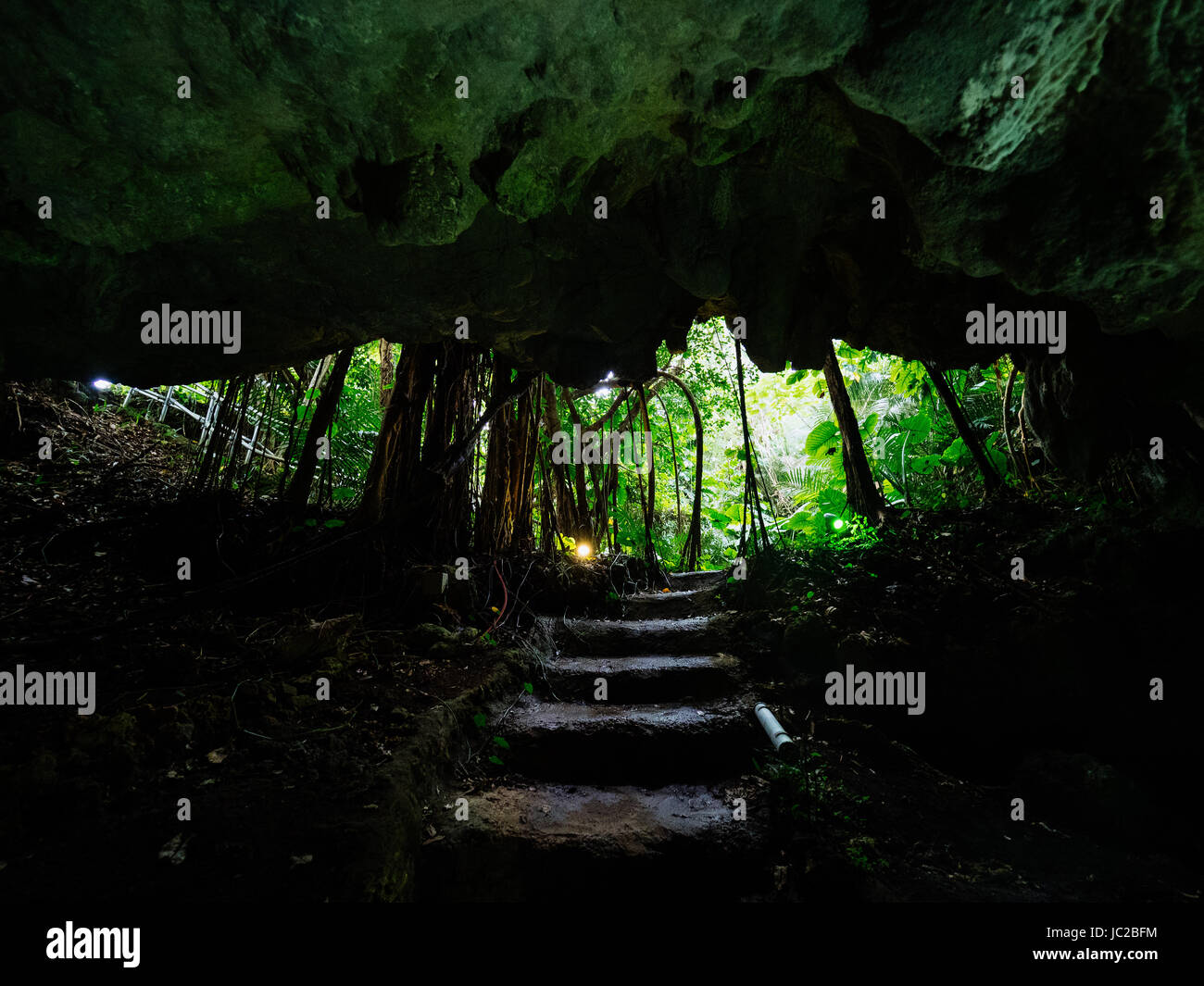 Ishigaki island limestone cave hi-res stock photography and images - Alamy