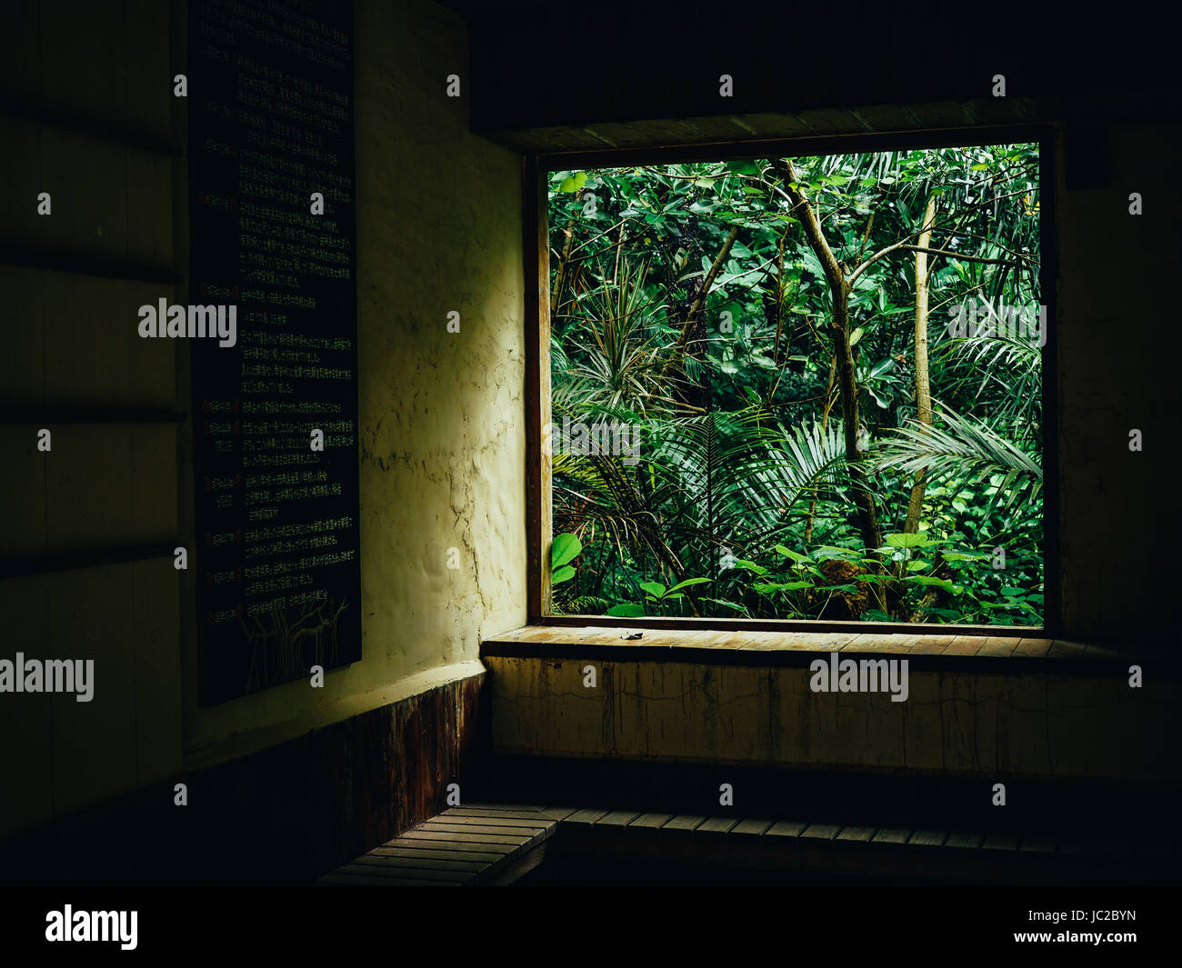 Jungle window hi-res stock photography and images - Alamy