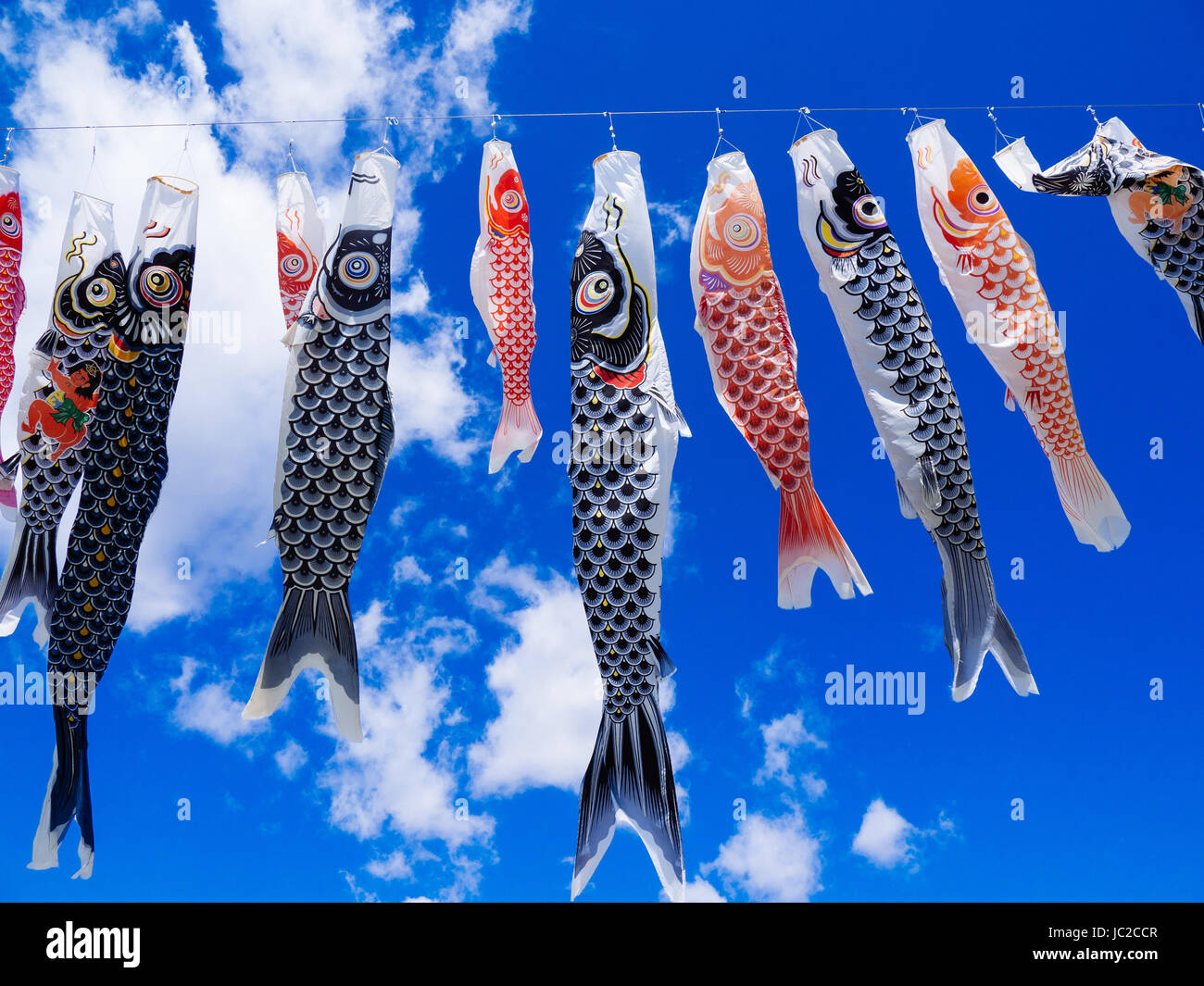 Koinobori (Carp Streamer Stock Photo - Alamy