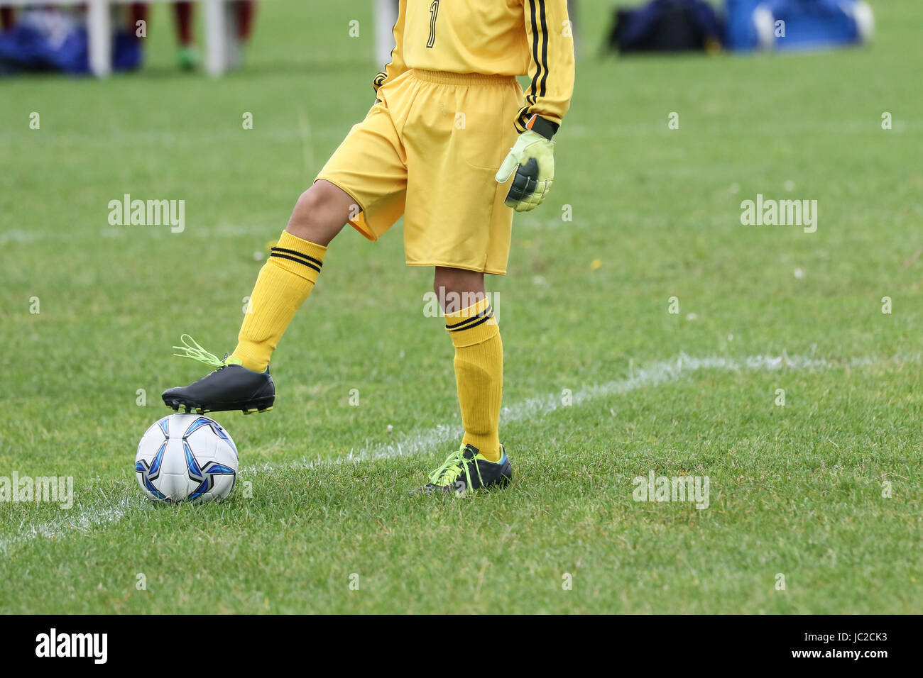 Japanese keeper hi-res stock photography and images - Alamy