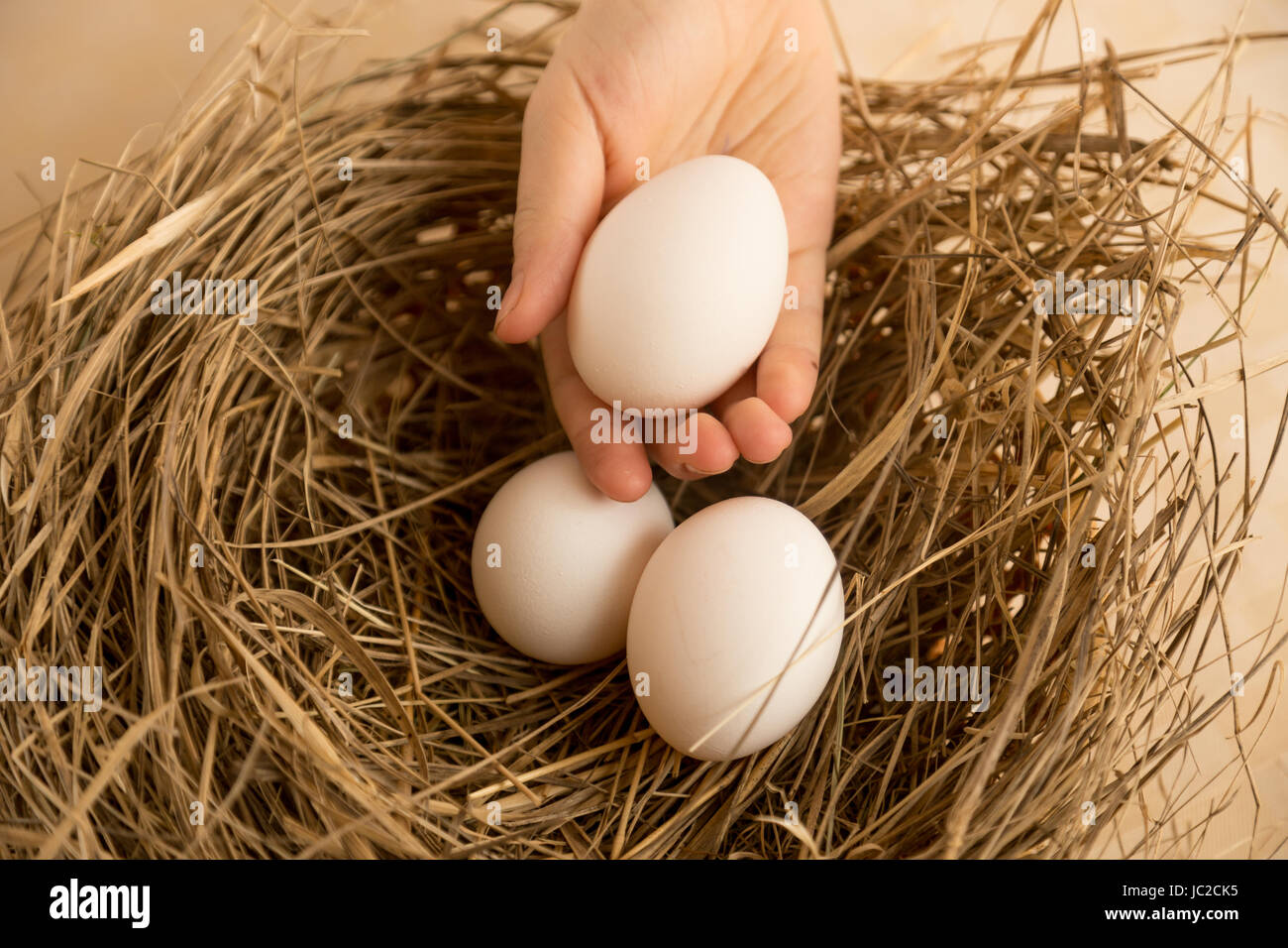 Hand holding hens egg hi-res stock photography and images - Alamy