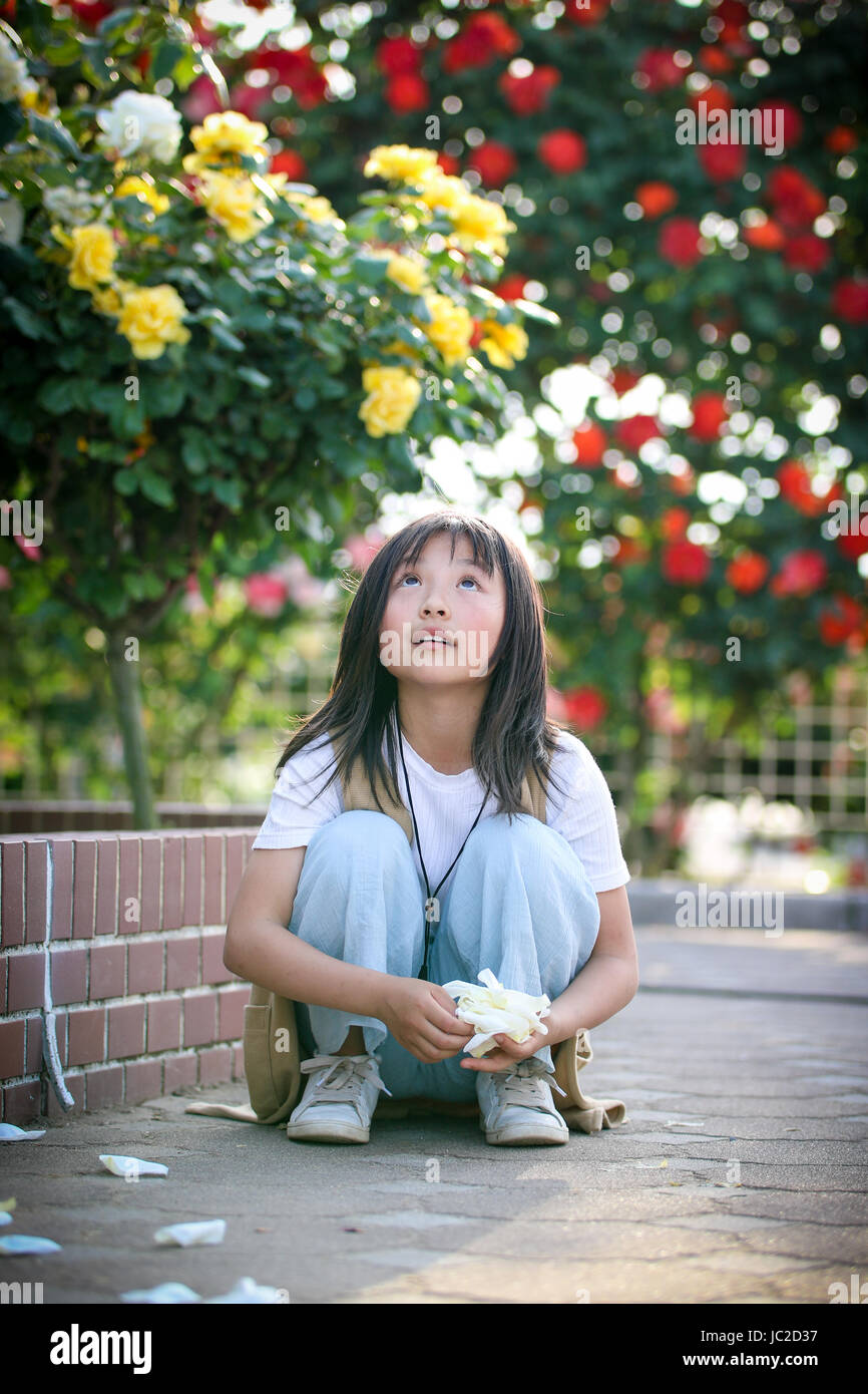 Rose and Girl Stock Photo - Alamy