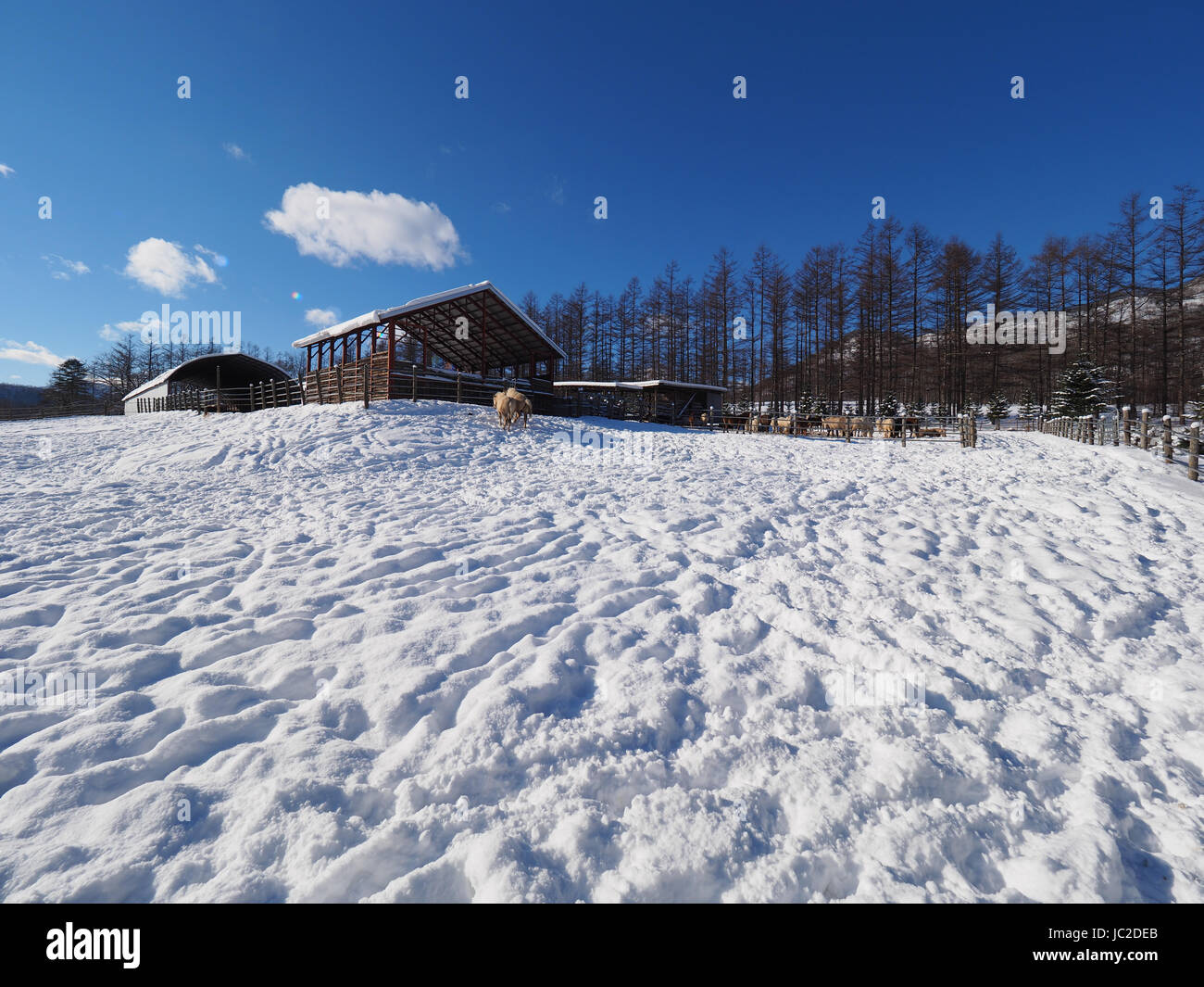 Ranch in snow hi-res stock photography and images - Alamy