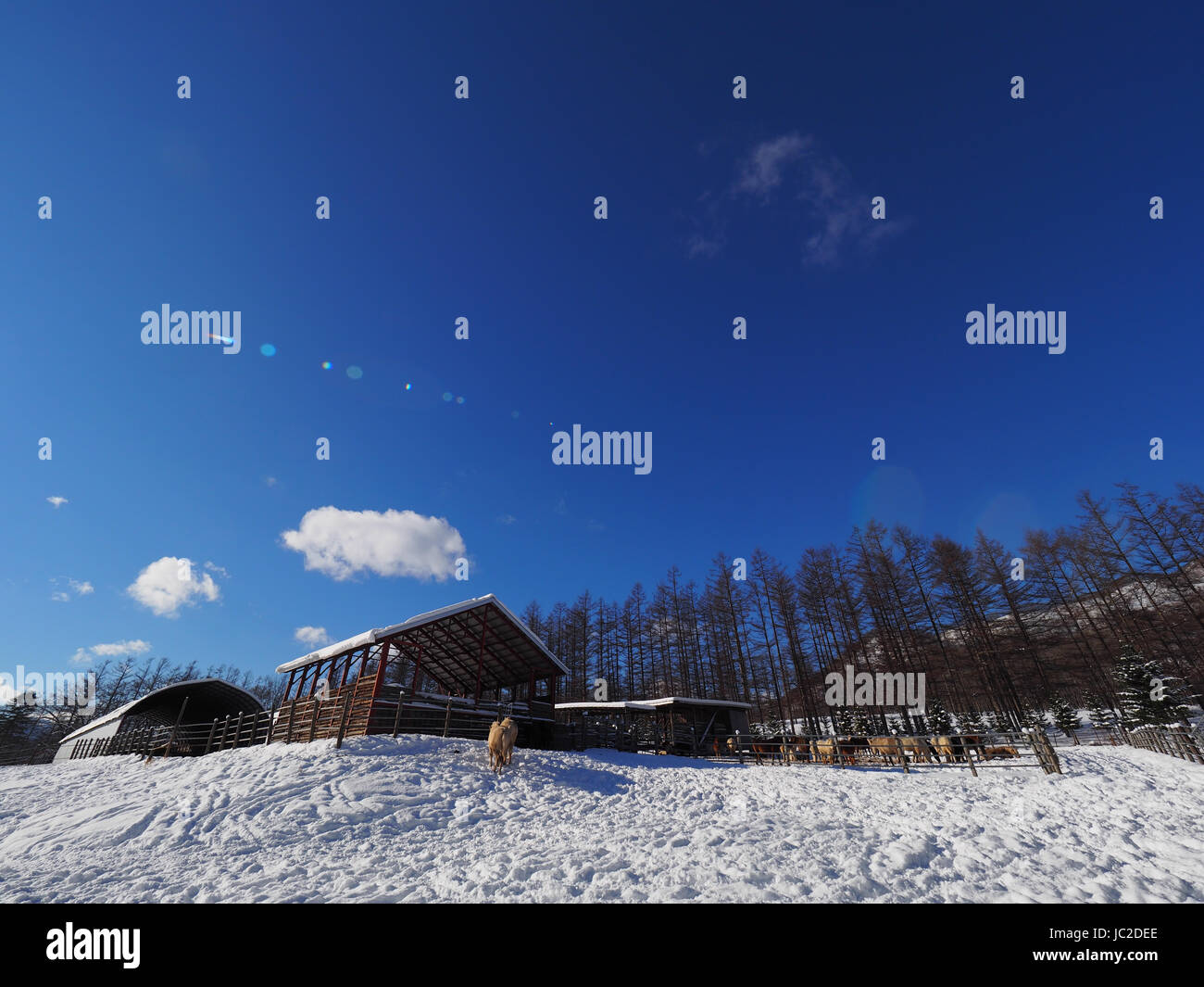 Ranch in Winter Stock Photo - Alamy