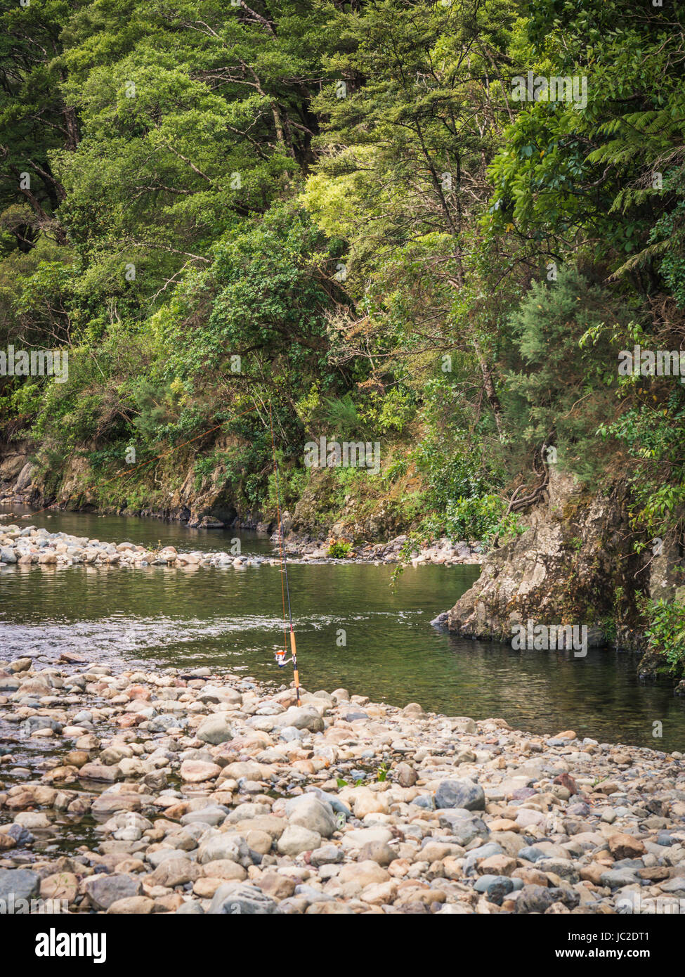 Fishing rod trees hi-res stock photography and images - Alamy