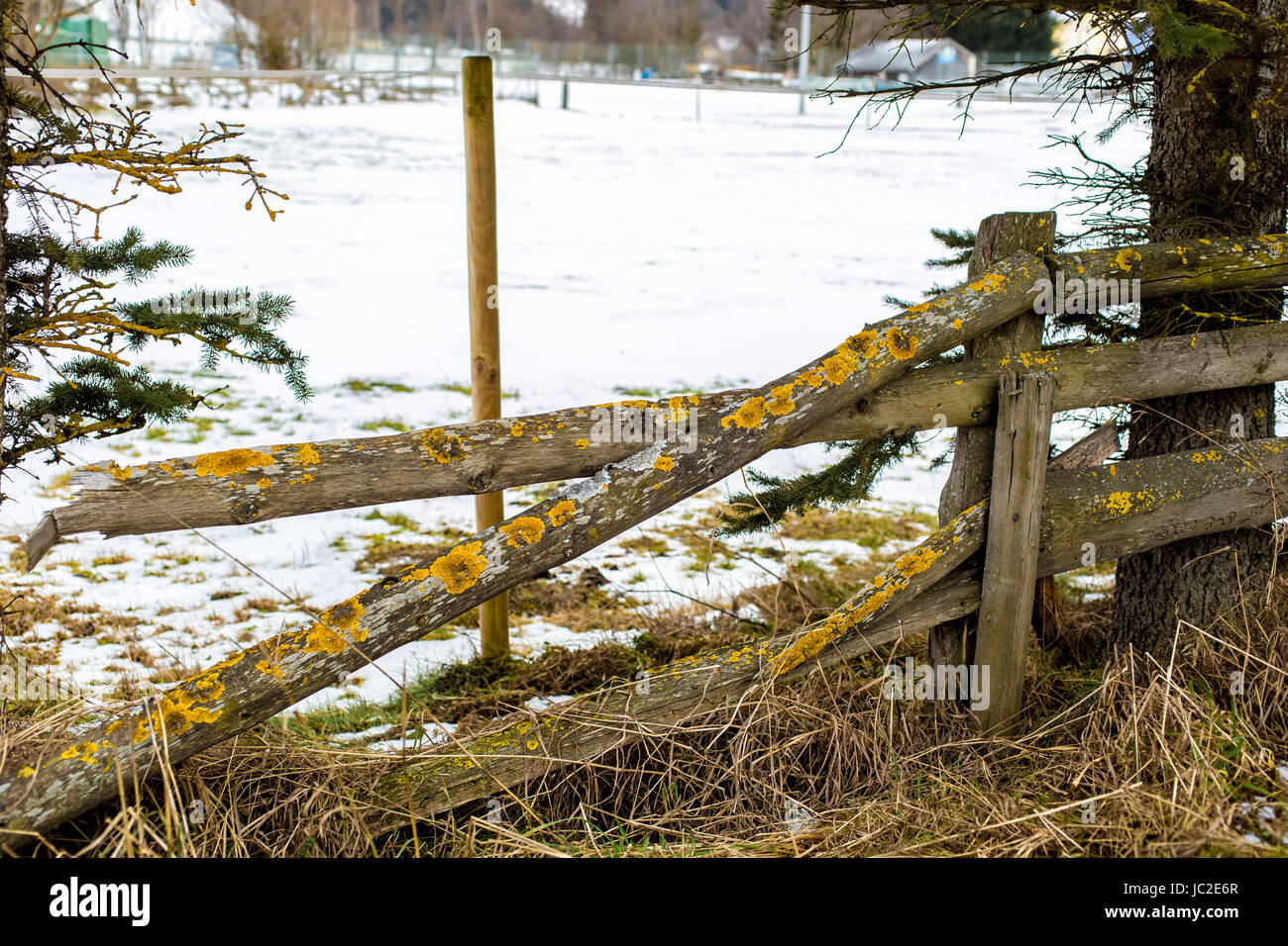 Old wooden broken fence at farm in winter Stock Photo - Alamy