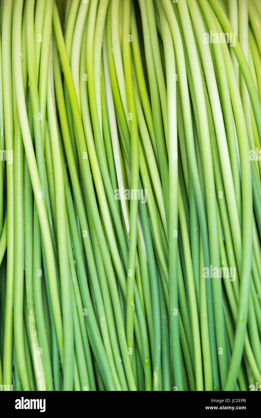 Bunch of fresh green onions Stock Photo - Alamy