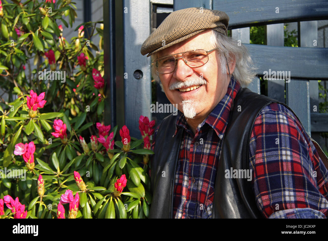 Rentner neben Rhdodendron Stock Photo - Alamy