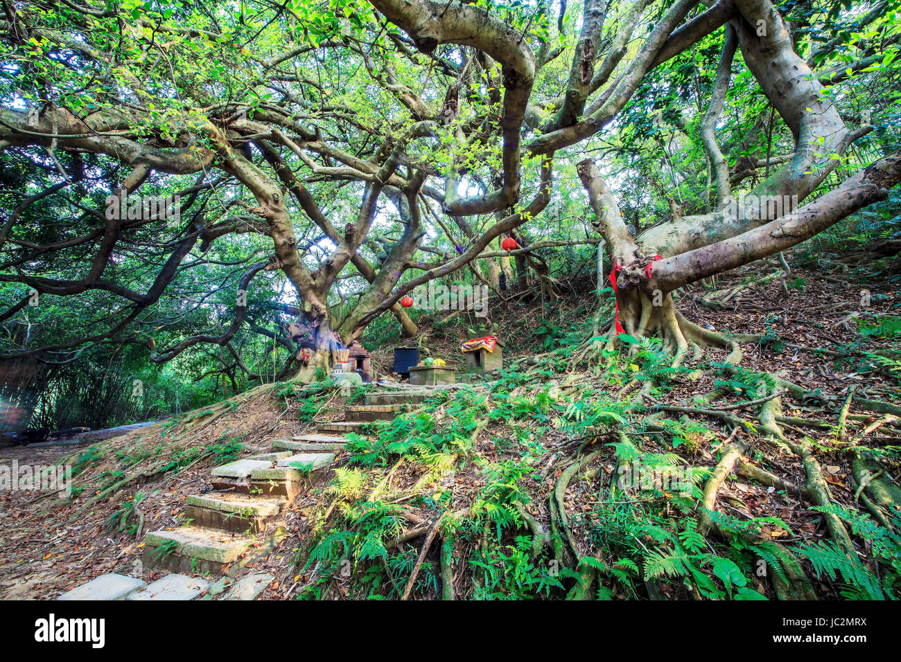 Old stone made temple at miaoli hi-res stock photography and images - Alamy