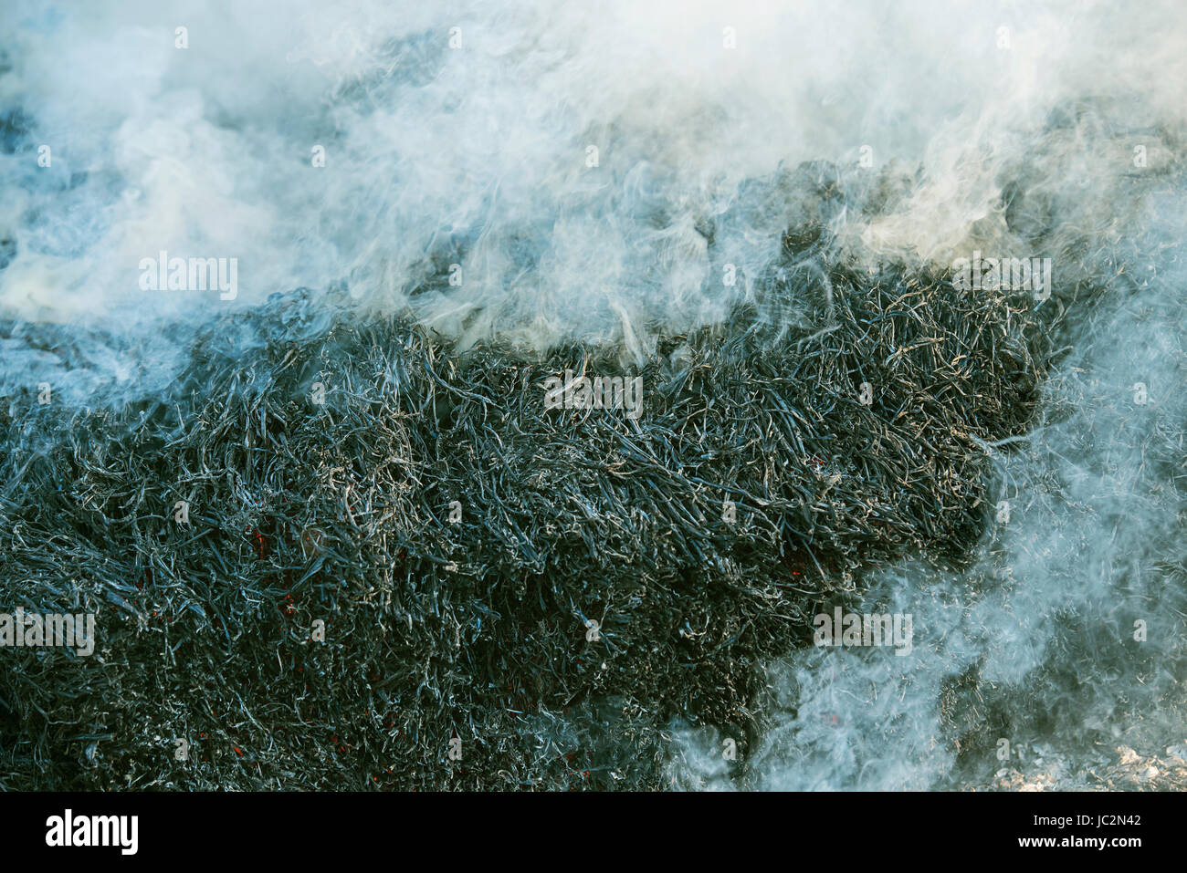 Smoke from fire on the ground Stock Photo - Alamy