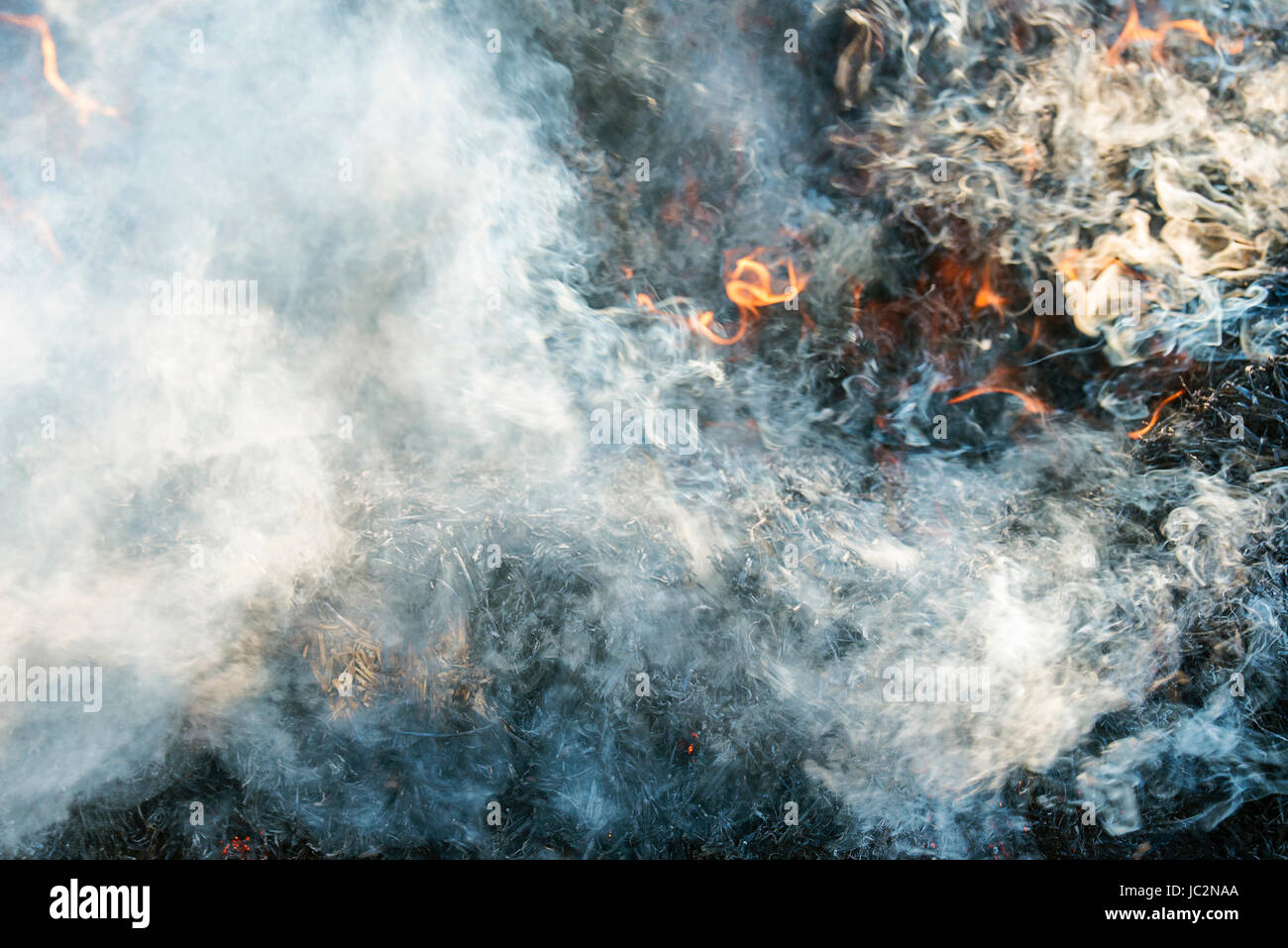 Smoke from fire on the ground Stock Photo - Alamy