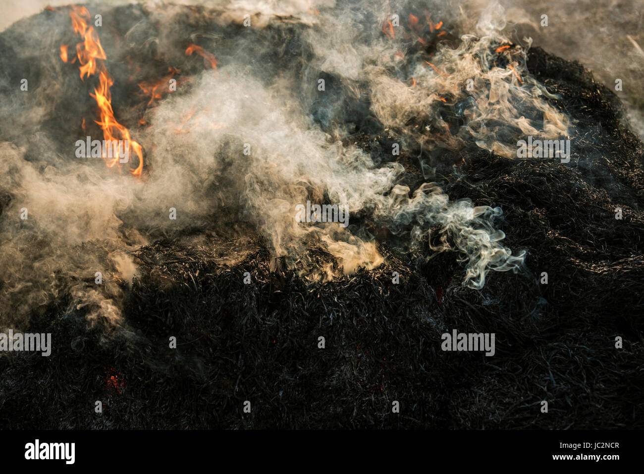 Smoke from fire on the ground Stock Photo - Alamy
