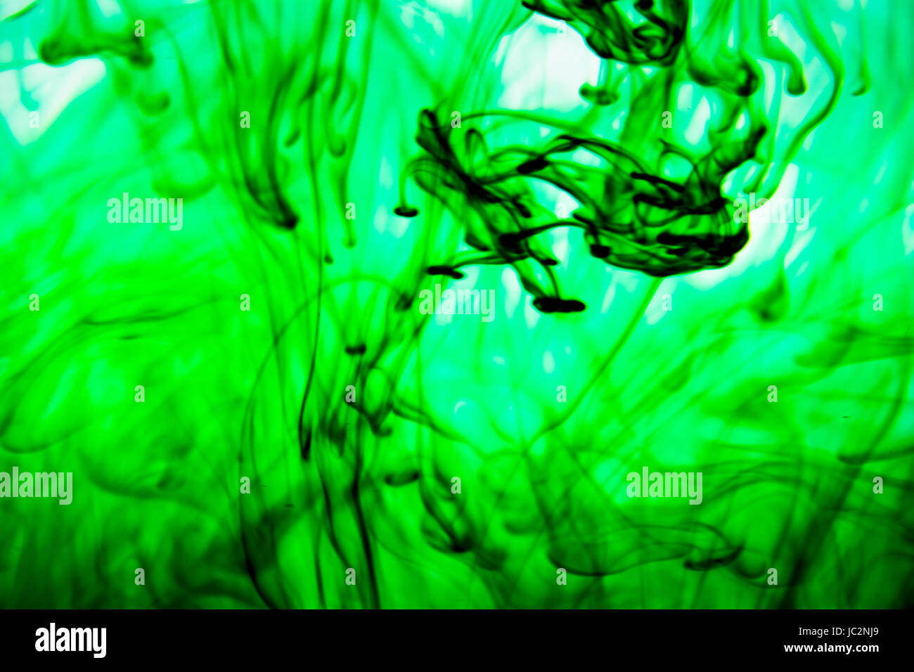 Vegetable ink poured into water with white background Stock Photo - Alamy