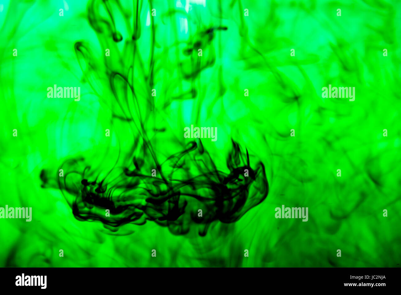 Vegetable ink poured into water with white background Stock Photo - Alamy