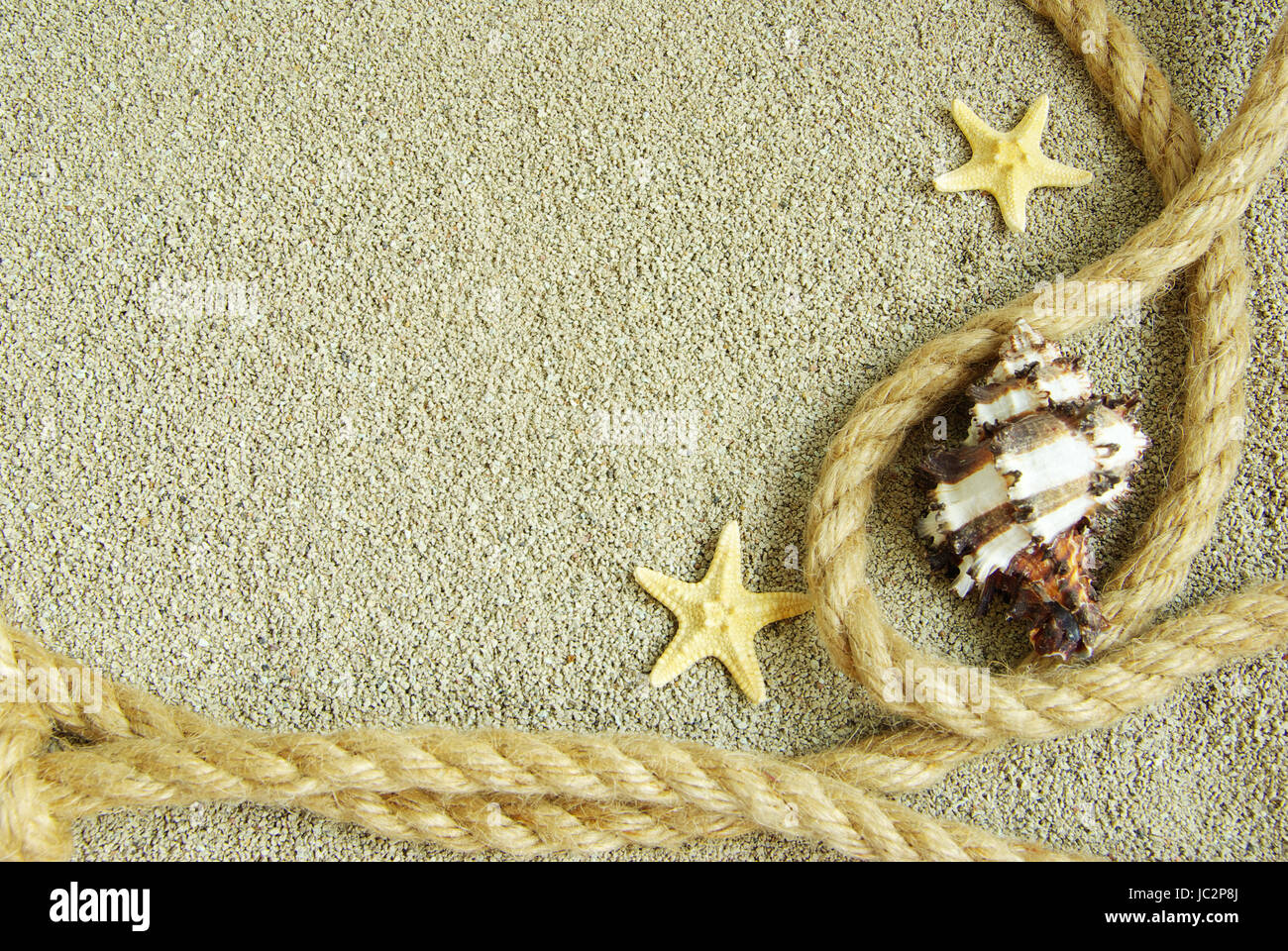 starfish and shells in rope on sand Stock Photo - Alamy