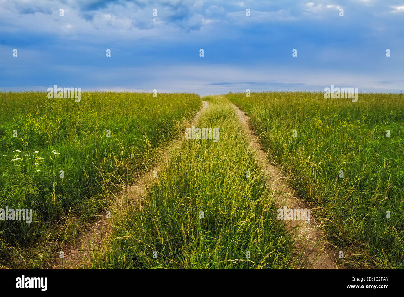 Tall Grass Prairie High Resolution Stock Photography and Images - Alamy