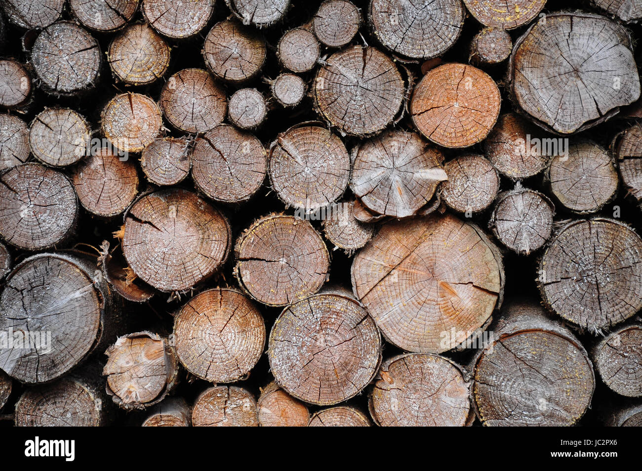 Stapel aus Fichtenholz Stock Photo - Alamy