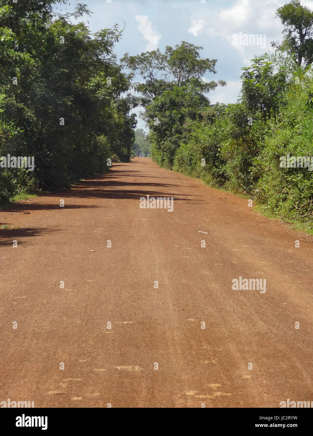 sunny illuminated brown jungle road seen in Thailand Stock Photo - Alamy