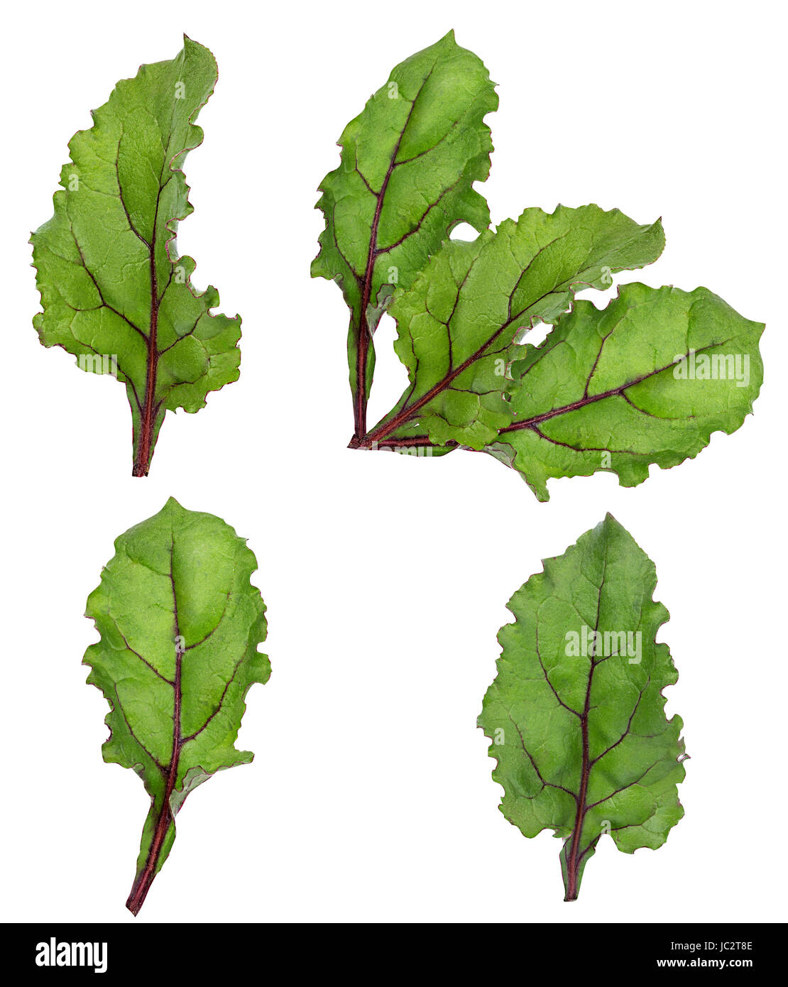Organic beetroot salad on hi-res stock photography and images - Alamy