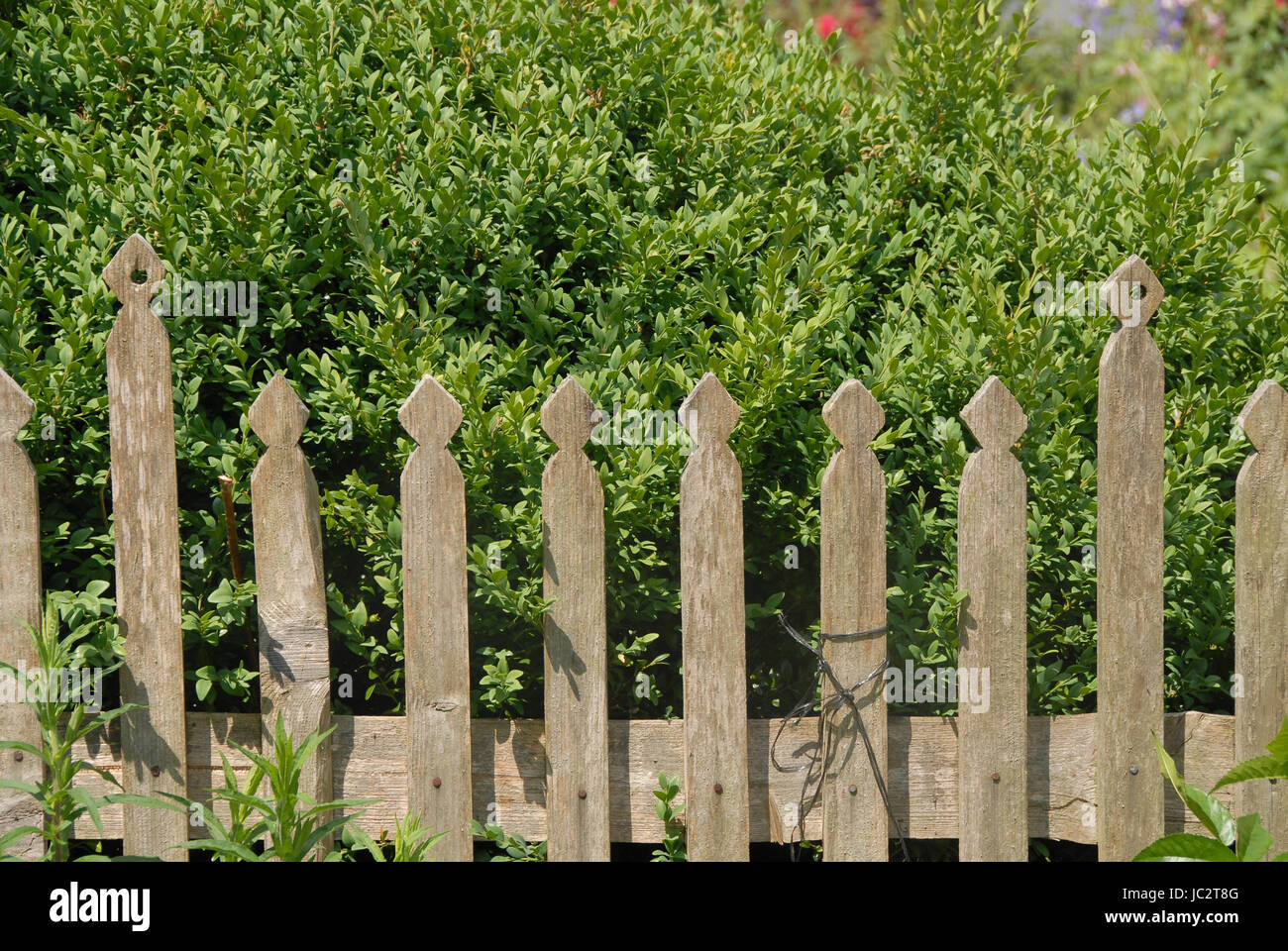 Protect gardens hi-res stock photography and images - Alamy