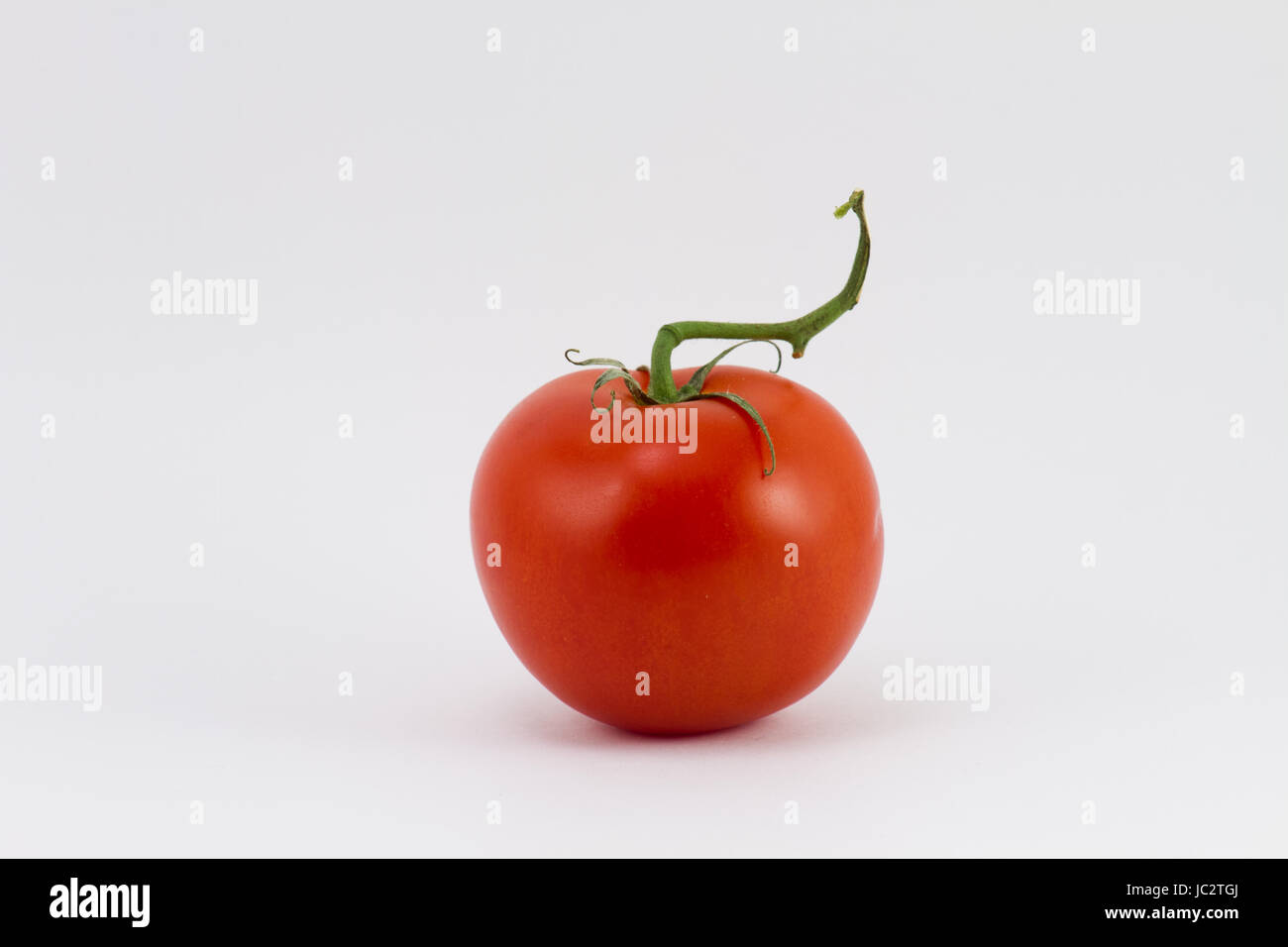 one fresh red tomato with a green twig isolated on white Stock Photo ...