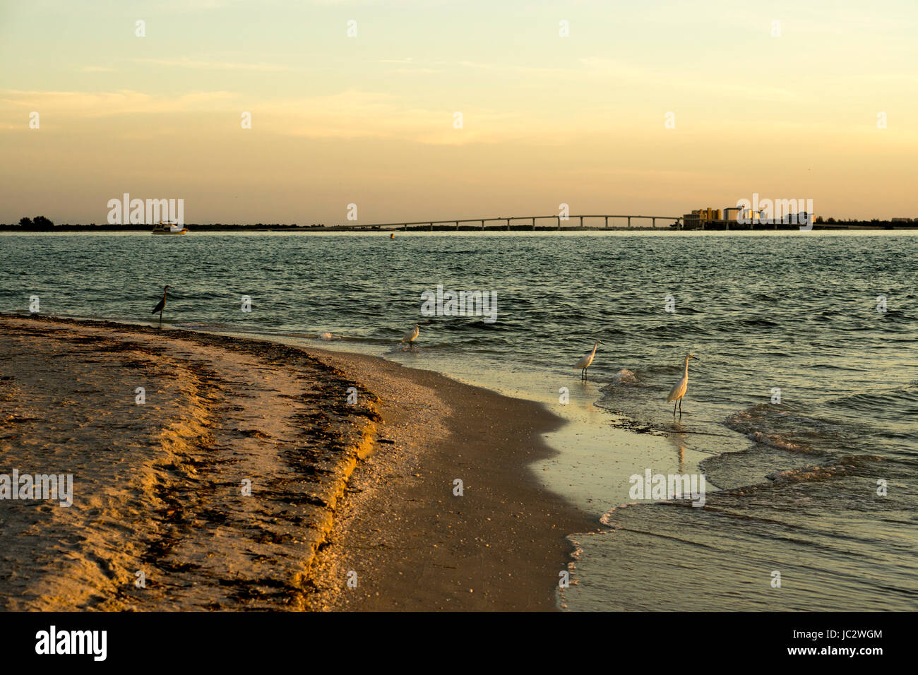 Dreamstime hi-res stock photography and images - Alamy