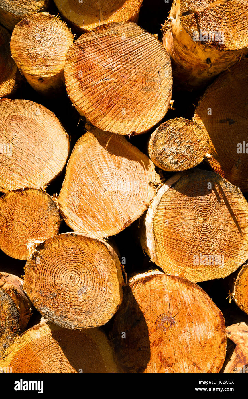 Logging truck paper mill hi-res stock photography and images - Alamy